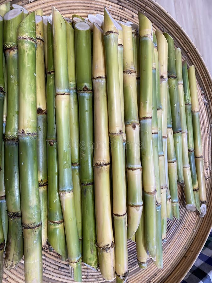 Bamboo shoots for cooking stock photo. Image of natural - 322160404
