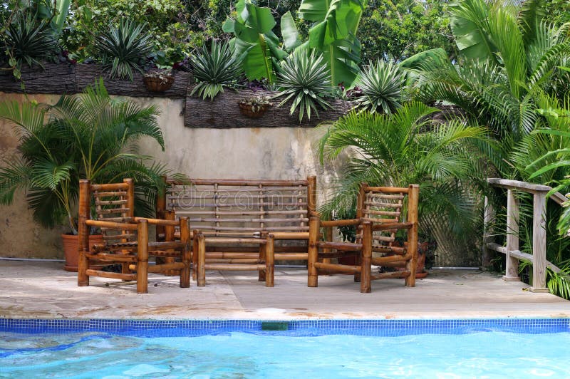 Bamboo Sitting by the Swimming Pool Stock Photo - Image of green ...