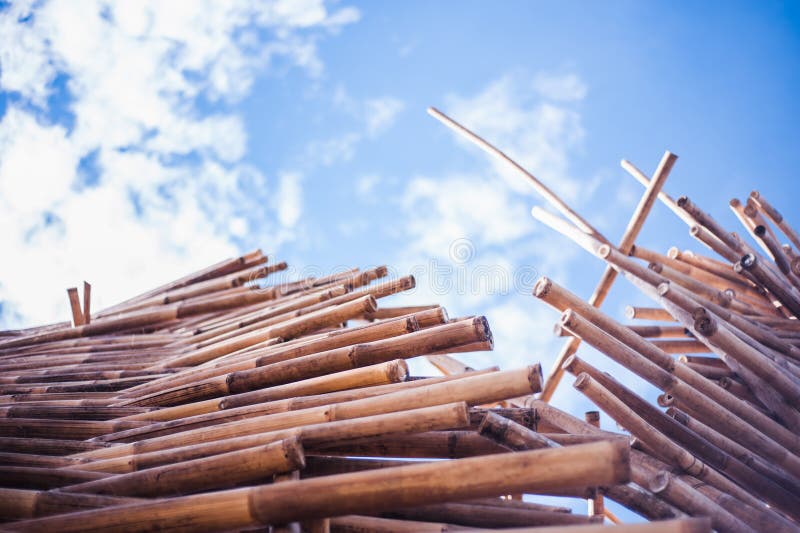 Bamboo Stack stock photo. Image of dried, pile, stacks - 31554926
