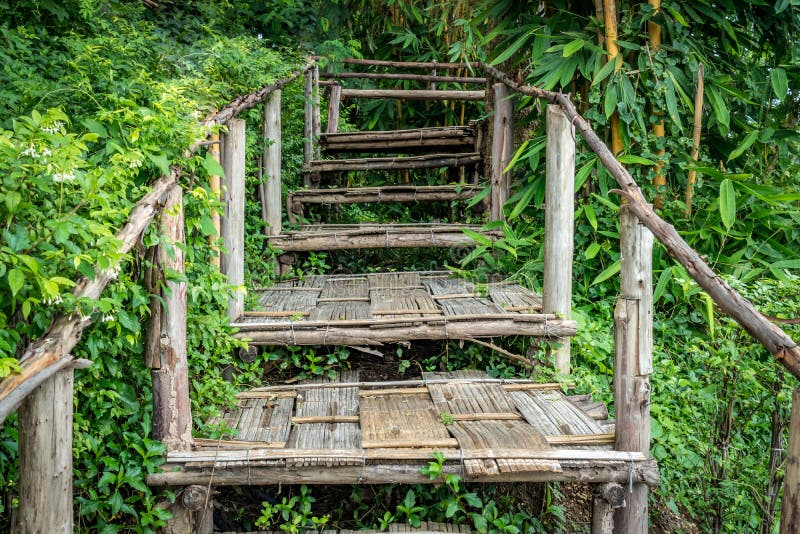 Bamboo staircase stock image. Image of local, structure - 77918443