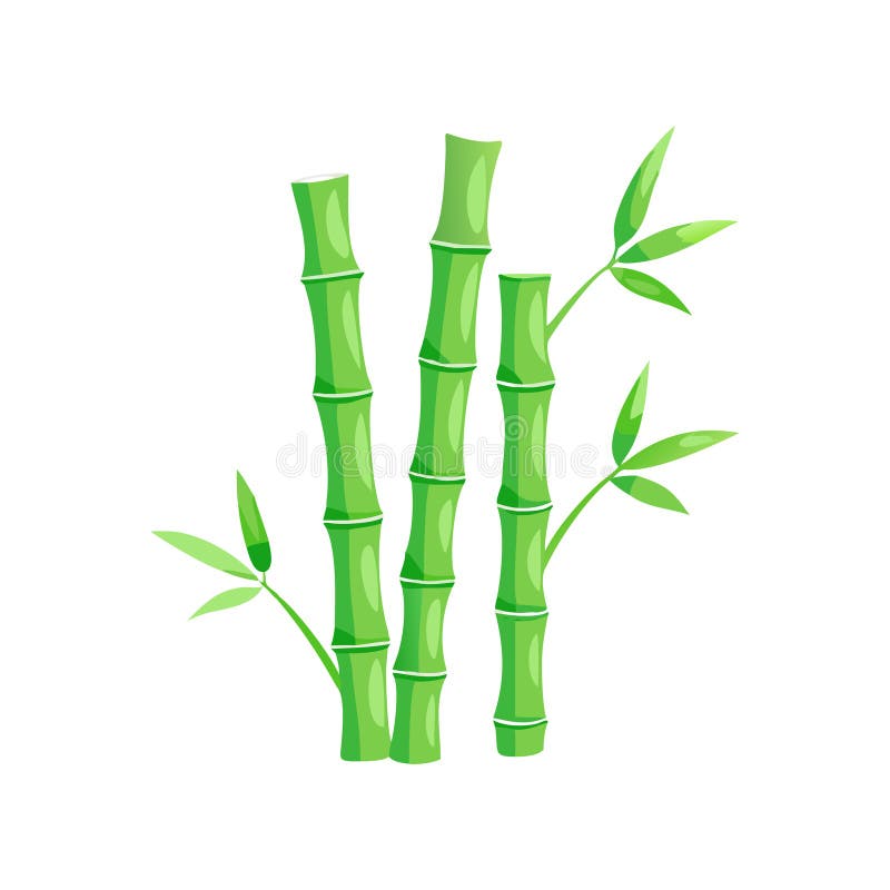 Bamboo Stalks with Leaves Vector Illustration Isolated on White ...