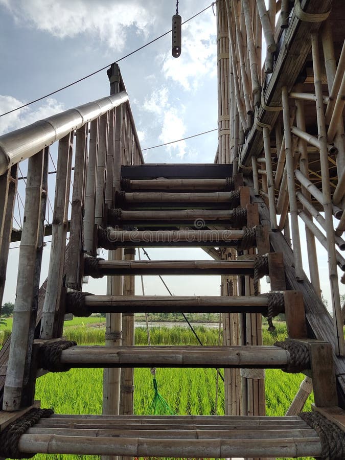 The Bamboo Steps Behind the Rice Fields Stock Image - Image of walkway ...