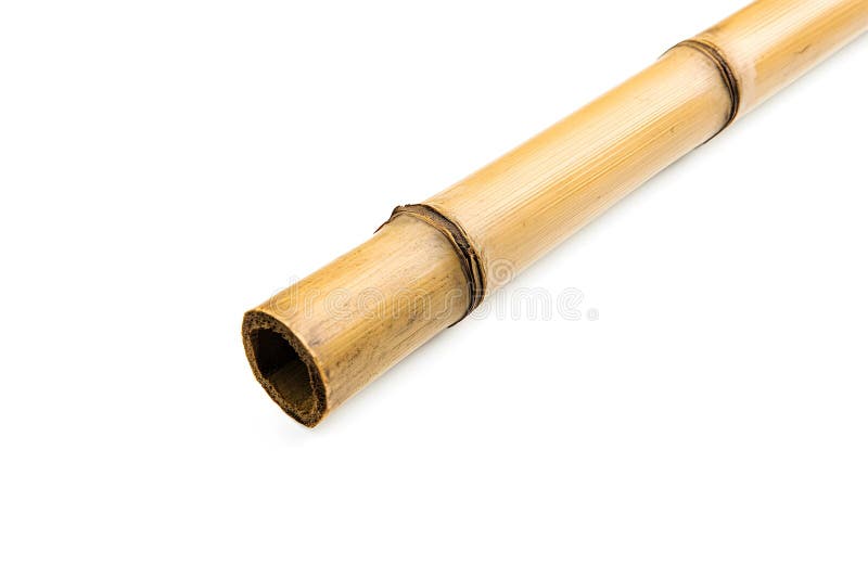 Bamboo Stick Close-up Isolated on White Background Stock Illustration ...