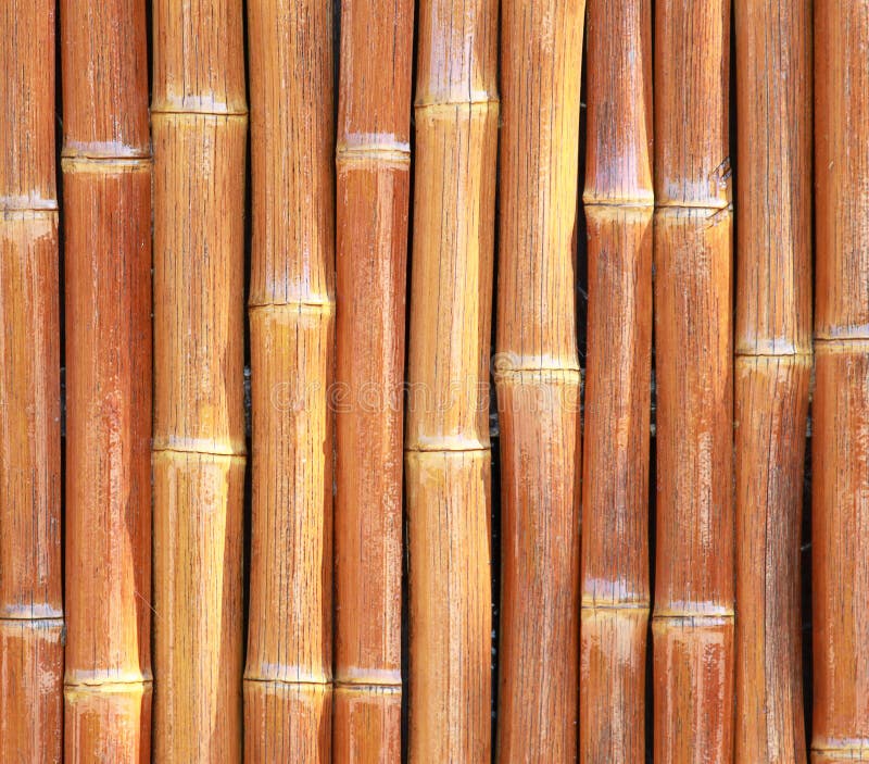 Bamboo sticks stock image. Image of brown, wooden, twig - 18774581