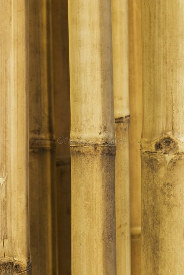 Bamboo sticks stock image. Image of traditional, stick - 5807265
