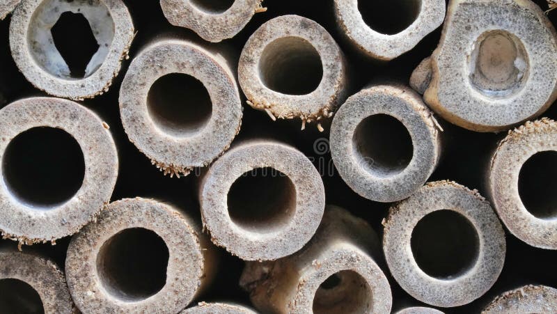 Bamboo sticks close up stock photo. Image of rough, natural - 275093764