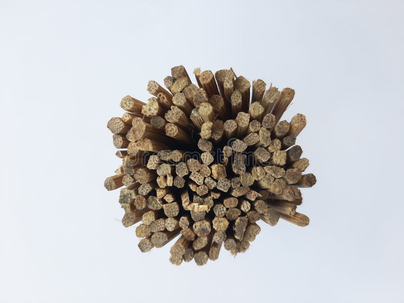 Bamboo Sticks Close Up Taken from Upside on White Background Stock ...