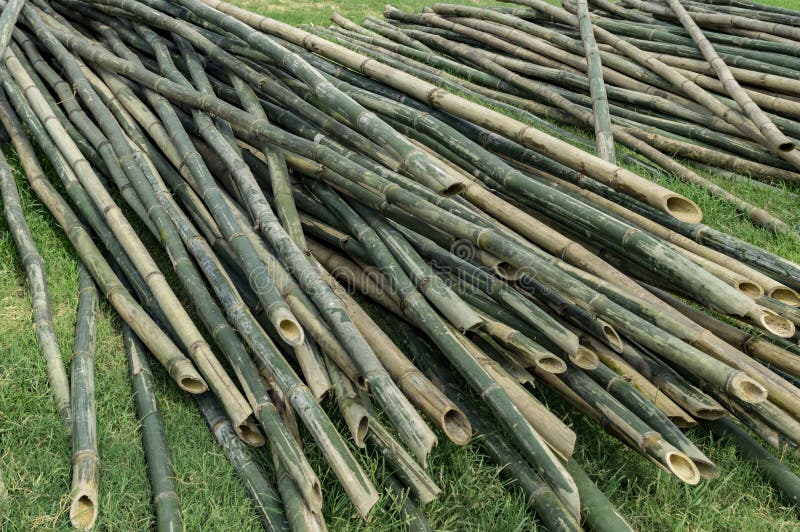 Bamboo sticks stock image. Image of pile, bambusoideae - 75043559