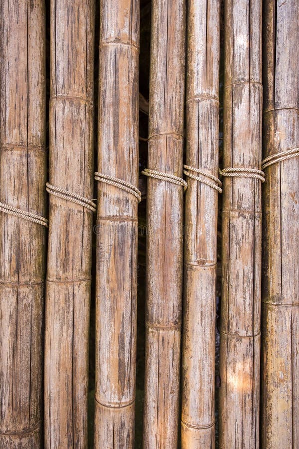 Bamboo sticks with a rope stock image. Image of abstract - 51548759