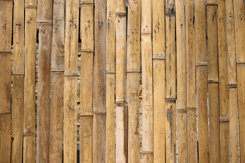 Bamboo Sticks Splintered and Assembled Stock Image - Image of plant ...