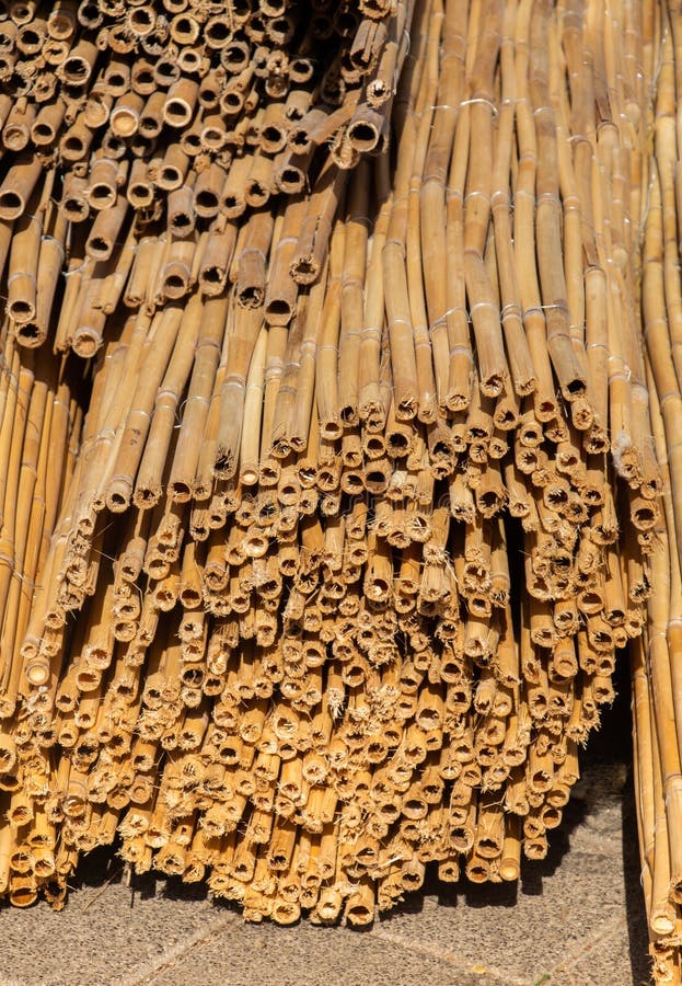 Bamboo sticks in stacks stock photo. Image of brown - 159045564