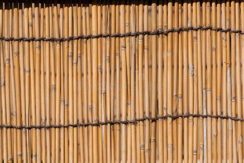 Bamboo stockade background stock image. Image of japan - 308909827