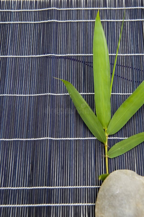 Bamboo and stone stock image. Image of forest, bamboo - 14570175