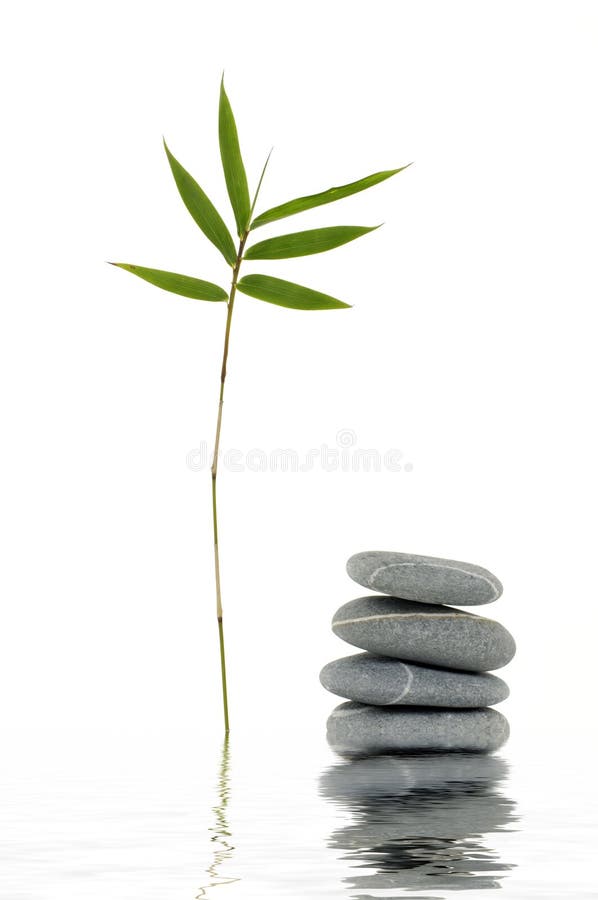 Bamboo and stone stock photo. Image of purity, grass, growth - 8671800