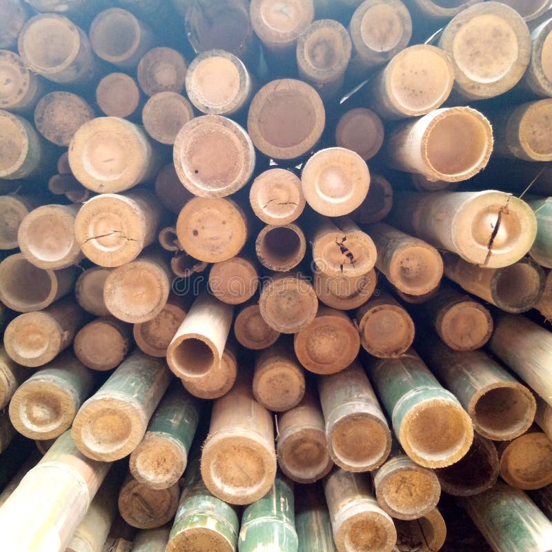 Bamboo Strips that Can Be Used for Various Purposes Stock Photo - Image ...