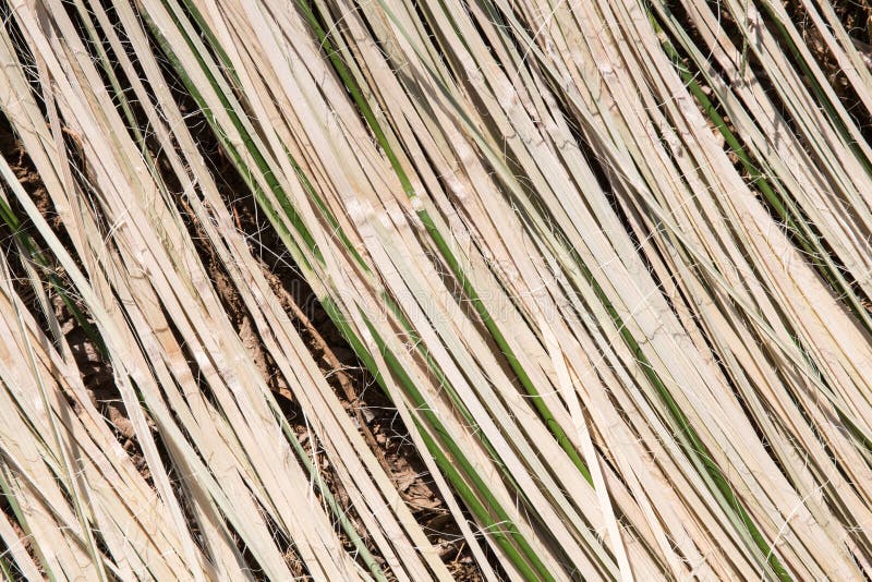 Bamboo Strips Making Background Stock Photo - Image of line, texture ...