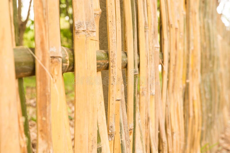 Bamboo surface stock image. Image of design, rough, material - 95834165
