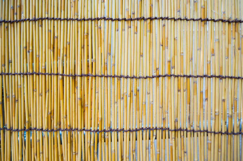 The Bamboo Surface Texture from Japan ,Abstract Background. Stock Photo ...
