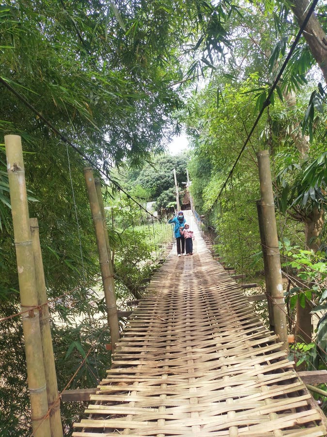 Bamboo suspension bridge stock photo. Image of bamboo - 289413982