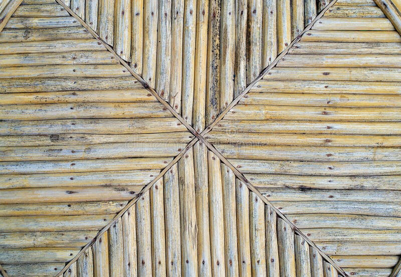 Bamboo stock image. Image of solid, floor, plant, strength - 40704347