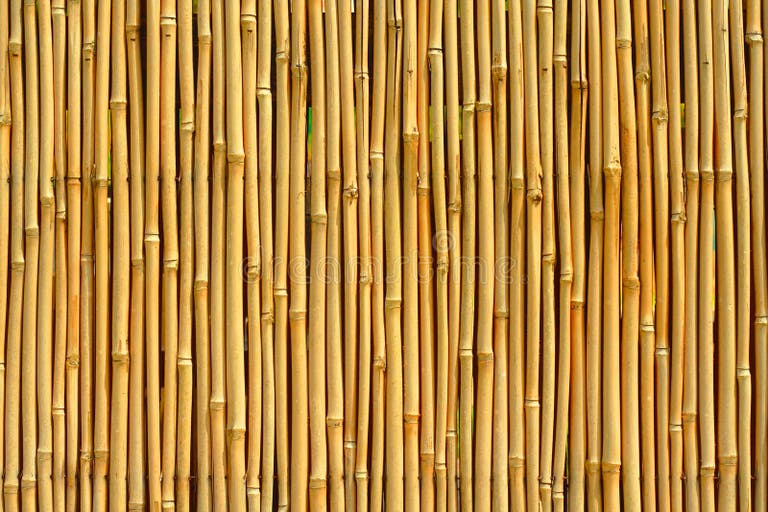Bamboo Texture stock image. Image of natural, tree, timber - 17485507