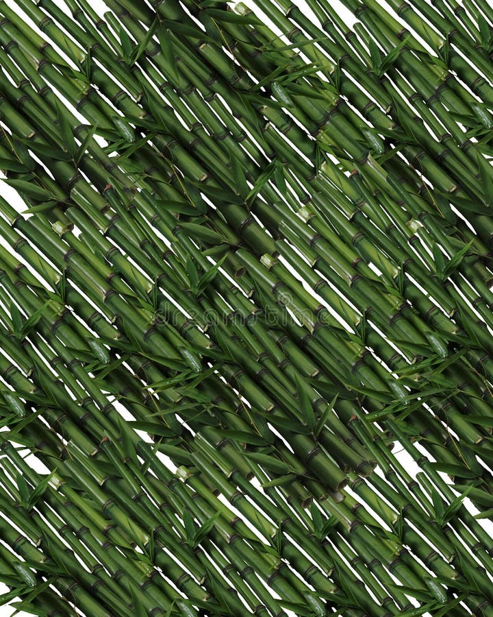Bamboo Texture Picture. Image: 17657402