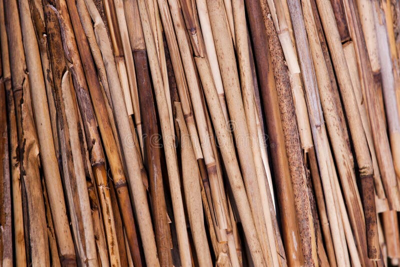Old Bamboo Texture or Background Stock Photo - Image of brown, forest ...