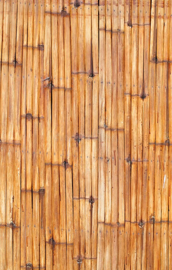 Bamboo texture stock photo. Image of architecture, bark - 24865552