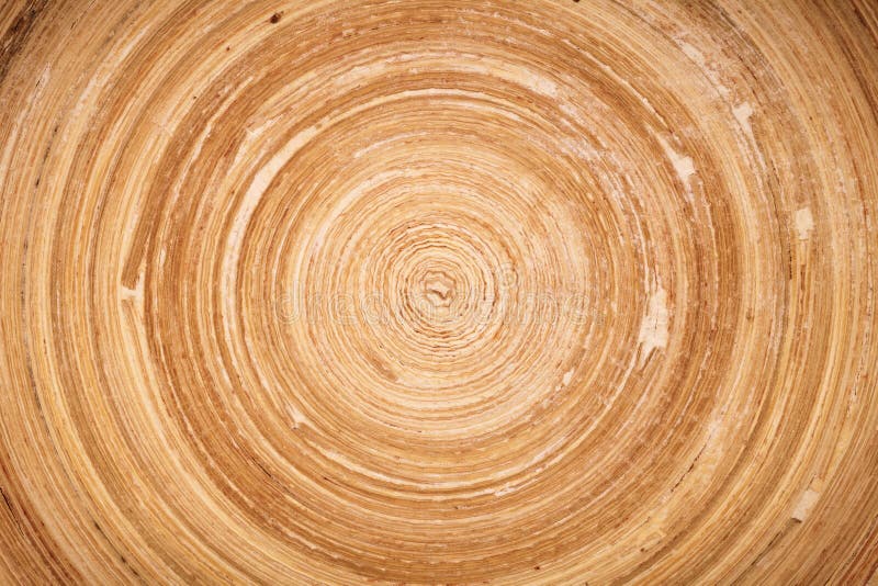 Bamboo texture circle stock photo. Image of closeup, detailed - 14000614