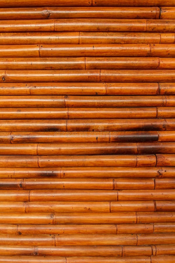 Bamboo texture stock photo. Image of decor, detail, decorative - 29556838
