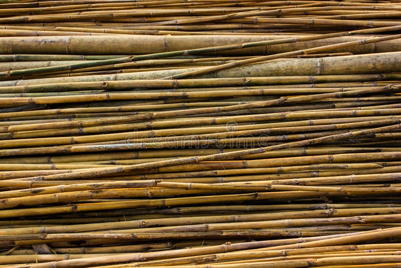 Bamboo texture stock image. Image of oriental, bamboo - 29647825