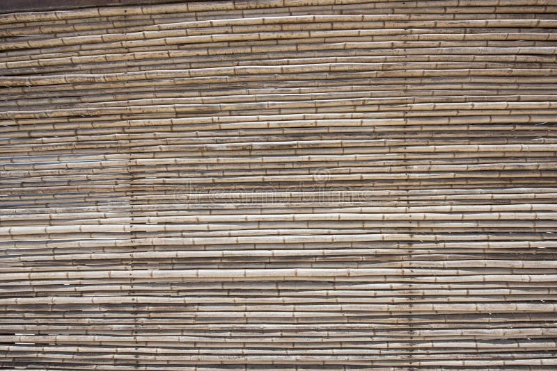 Bamboo Texture Background for Interior or Exterior Design Stock Image ...