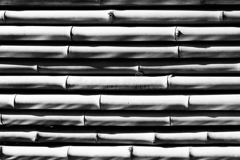 198 Bamboo Raft Texture Stock Photos - Free & Royalty-Free Stock Photos ...