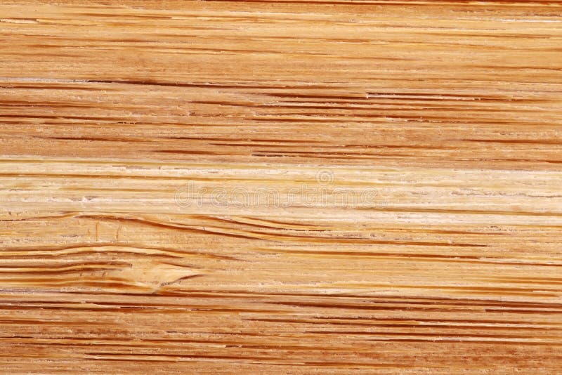 Bamboo Texture with Horizontal Stripes Stock Image - Image of bamboo ...