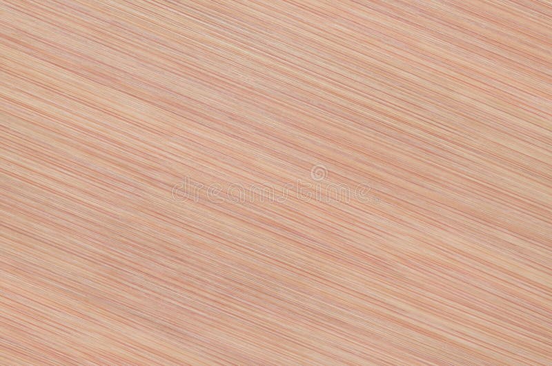 Bamboo texture stock photo. Image of brown, panel, blank - 241954498