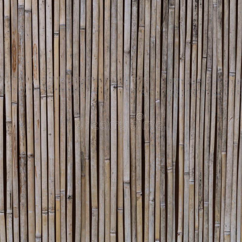 Bamboo Textured Background with Natural Wooden Patterns Stock Image ...