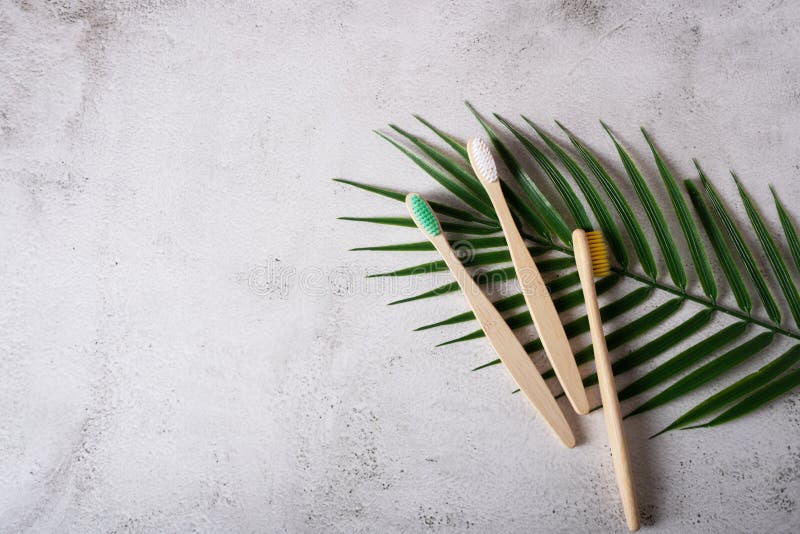 Bamboo Toothbrushes with Multi-colored Bristles on a Palm Leaf Stock ...
