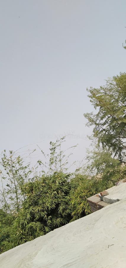 Cancopy Stock Photos - Free & Royalty-Free Stock Photos from Dreamstime