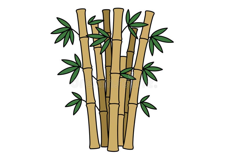 Bamboo tree clip art stock vector. Illustration of leaf - 365703267
