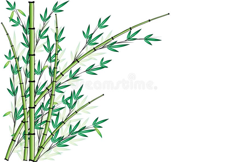 Bamboo tree design vector stock vector. Illustration of vector - 108922324