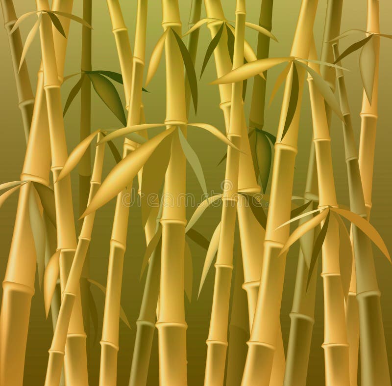 Bamboo trees stock illustration. Illustration of bunch - 3209743