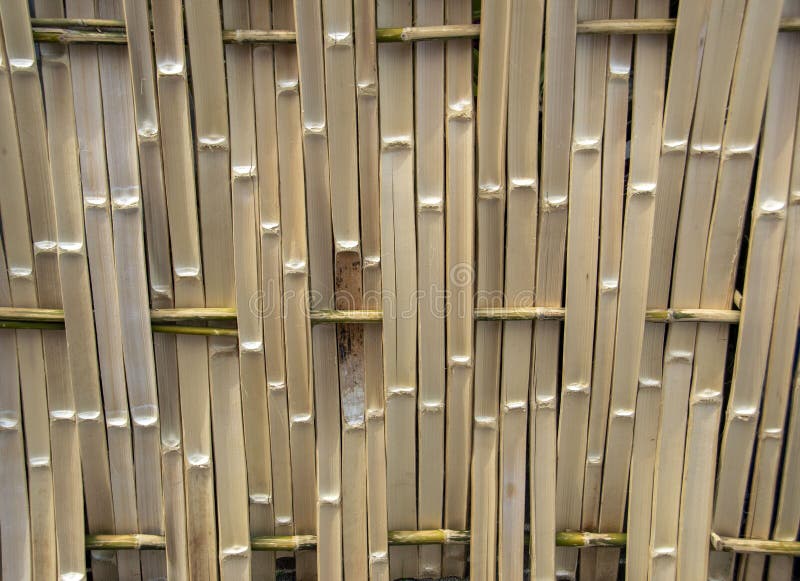 The Bamboo Trunk is Cut into Long Halves Stock Photo - Image of wood ...