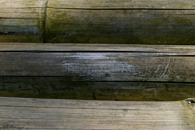 Bamboo trunks stock image. Image of natural, horizontal - 52207841