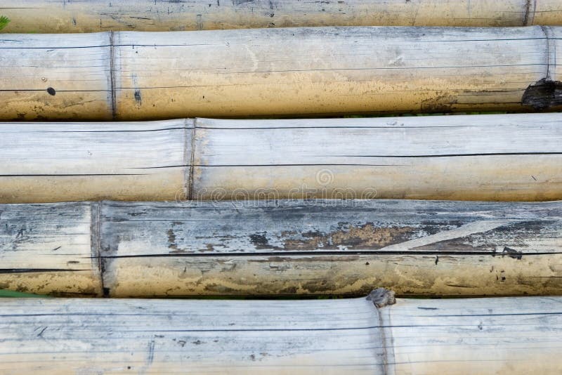 Bamboo trunks stock image. Image of decor, texture, abstract - 40873669