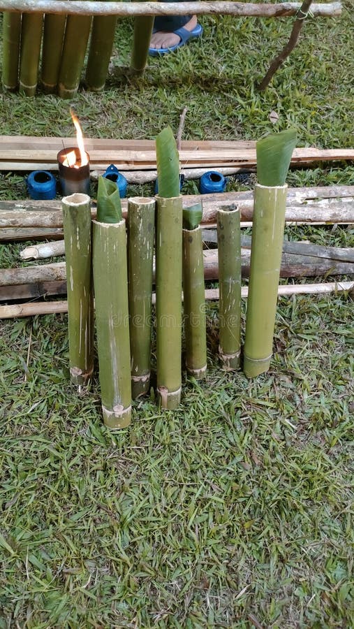 Bamboo Tubes, Lined Up, Ready for a Traditional Cooking Method. Stock ...