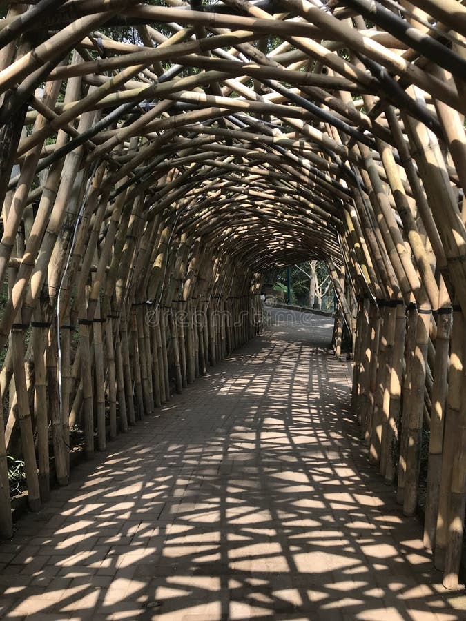 Imaginer Line Composision Stock Photos - Free & Royalty-Free Stock ...