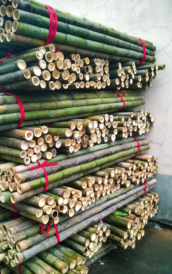 Bamboo stock photo. Image of bamboo, materials, environmental - 49785380