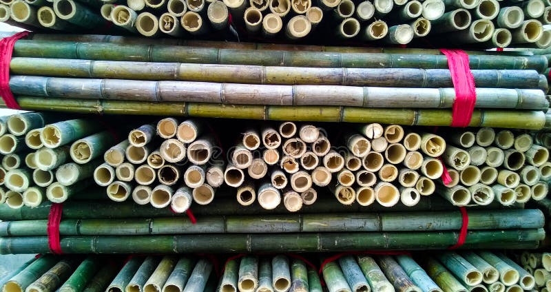 Bamboo stock photo. Image of dense, processing, technology - 50315038