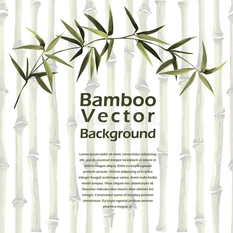 Bamboo Vector Template with Text Place. Exotic Poster Stock Vector ...