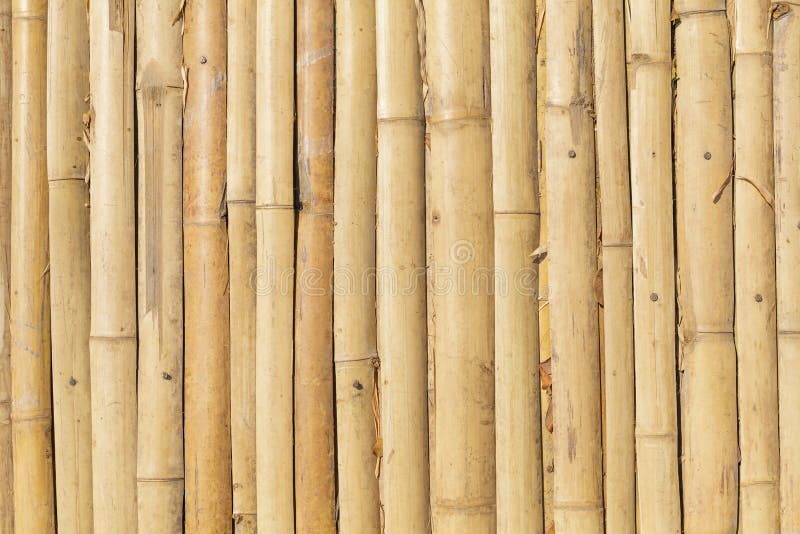 517 Bamboo Horizontal Lines Texture Stock Photos - Free & Royalty-Free ...